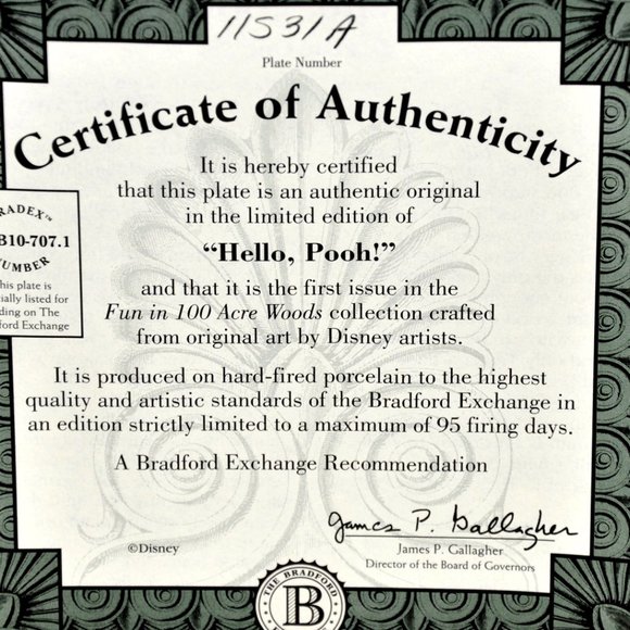 The Bradford Exchange | Holiday | Bradford Exchange Disney Hello Pooh Plate Winnie The Pooh Fun ...